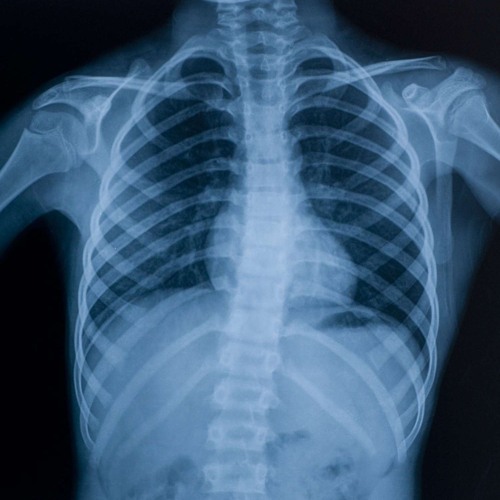 Stream hhhhh music | Listen to songs, albums, playlists for free on ...