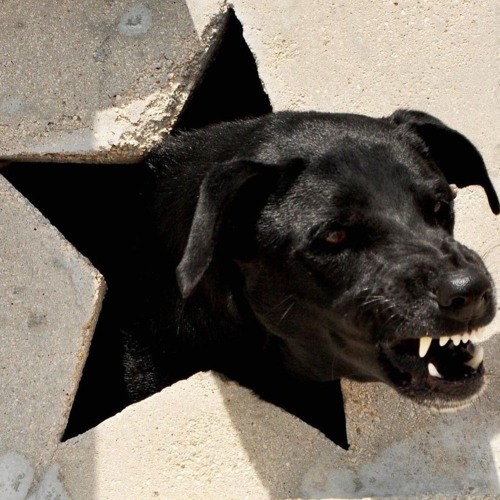 Stream WhyDoKind music | Listen to songs, albums, playlists for free on ...