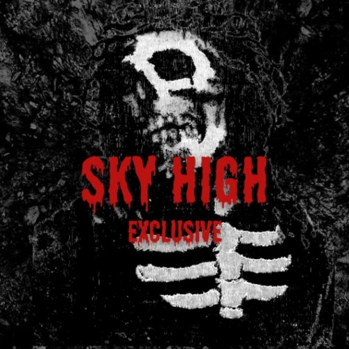 Stream SkyHigh music | Listen to songs, albums, playlists for free on ...