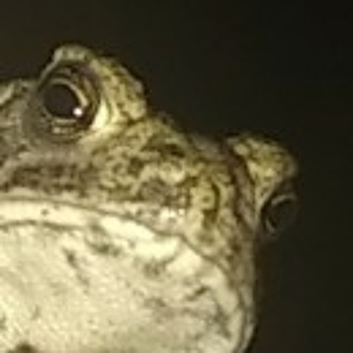 Stream William Cowle | Listen to xxxtentacion playlist online for free ...