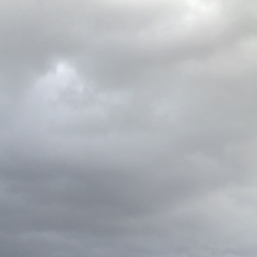 Stream Sam Miani music | Listen to songs, albums, playlists for free on ...