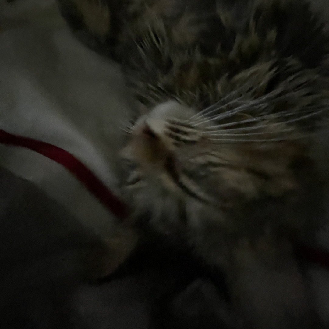 Stream Breaking Bad x Let it happen by g.v.p | Listen online for free ...