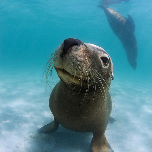 Stream Tee Locasone - Waiting For You (Profe C Interlude) by Taymour ...