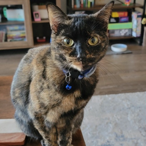 Stream The Helmsman music | Listen to songs, albums, playlists for free ...