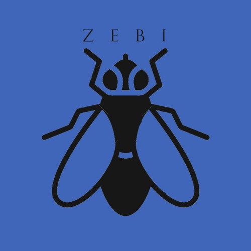 Stream Zebi Entertainment music | Listen to songs, albums, playlists ...