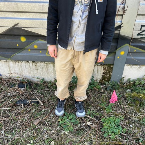 Stream Jan music | Listen to songs, albums, playlists for free on ...