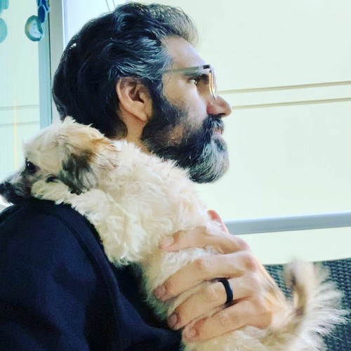 Stream episode The Ralph Report brought to you by Soap Soap by Jon Fink ...