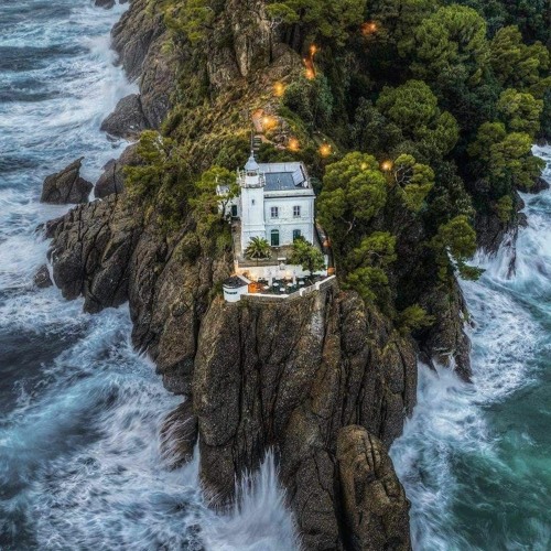 Stream sara sayed music | Listen to songs, albums, playlists for free ...