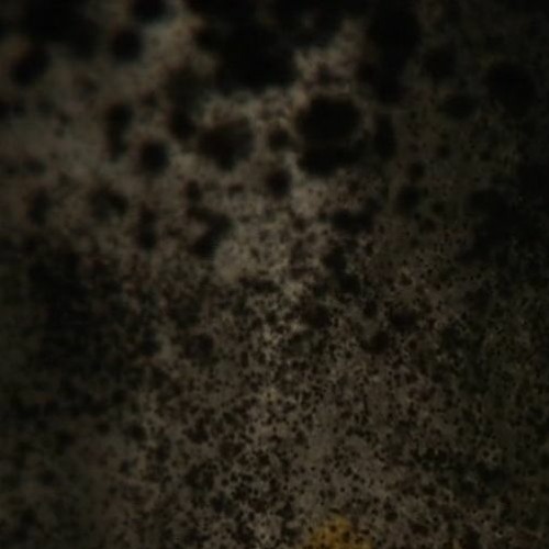 Stream sdfgg music | Listen to songs, albums, playlists for free on ...