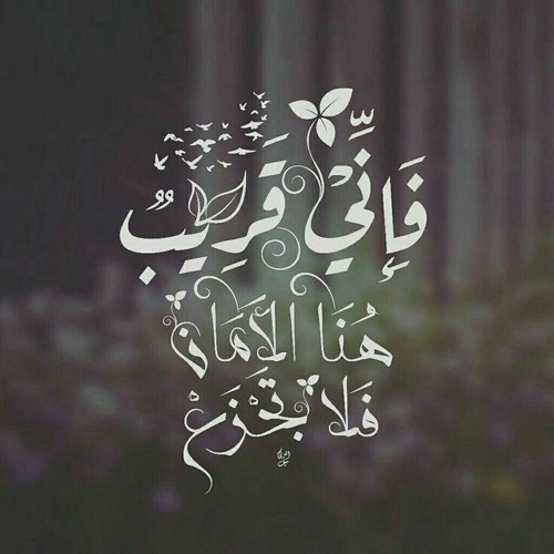 Stream Hiba Safi music | Listen to songs, albums, playlists for free on ...