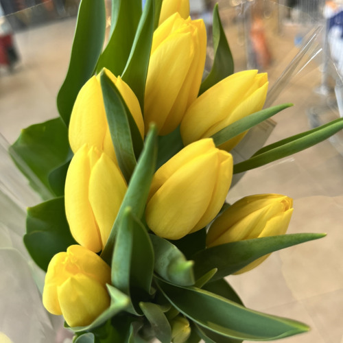 Stream Jill Claes music | Listen to songs, albums, playlists for free ...