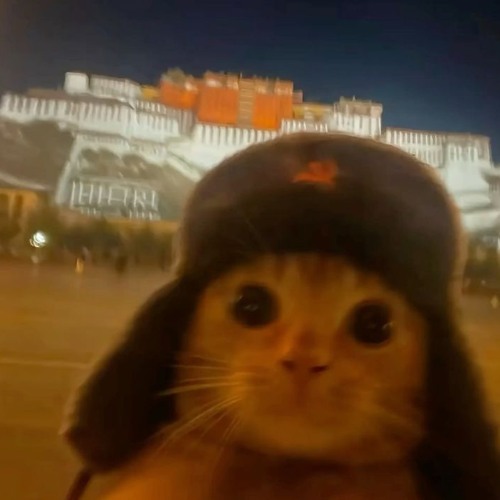 Stream Ghhhg music | Listen to songs, albums, playlists for free on ...