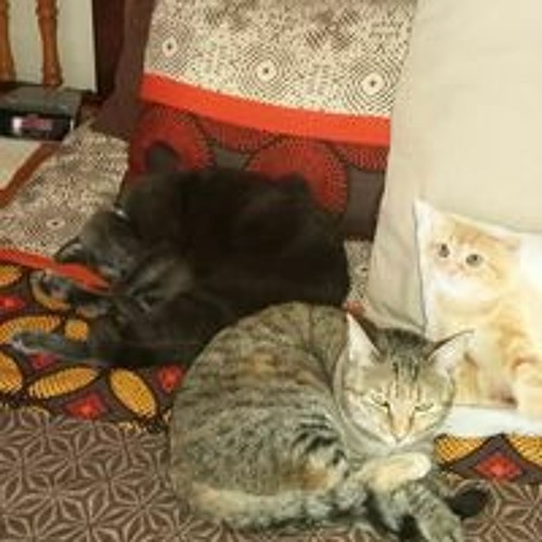 Stream Mike Backlund music | Listen to songs, albums, playlists for ...