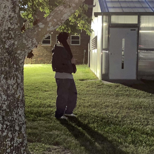 Stream Lil Hog music | Listen to songs, albums, playlists for free on ...