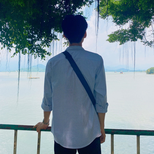 Stream Manh Nguyen music | Listen to songs, albums, playlists for free ...