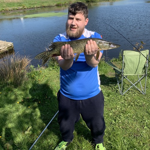 Stream Aaron Castle music | Listen to songs, albums, playlists for free ...