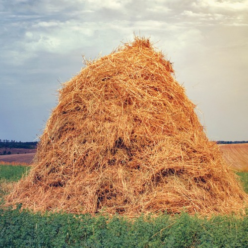 Stream Haystack music | Listen to songs, albums, playlists for free on ...