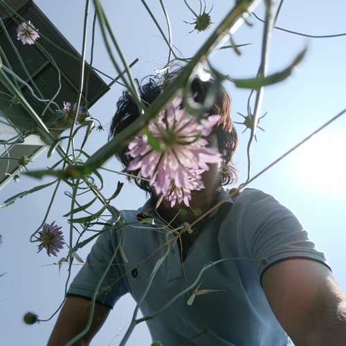 Stream jelsom music | Listen to songs, albums, playlists for free on ...