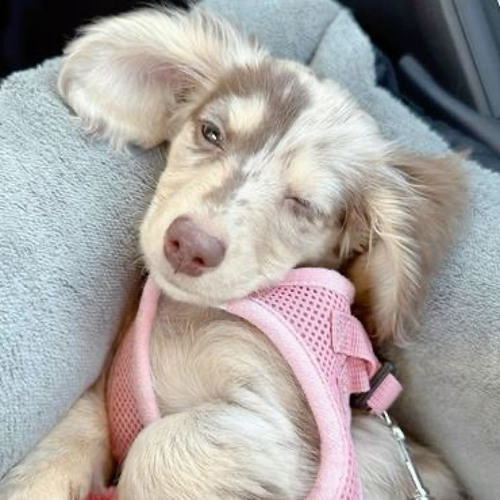 Stream An music | Listen to songs, albums, playlists for free on SoundCloud