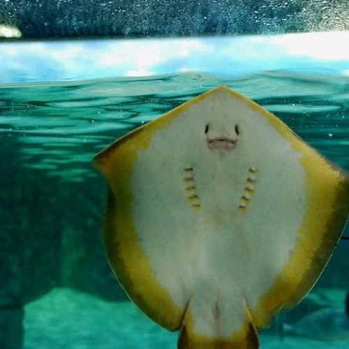 Stream kdndnd music | Listen to songs, albums, playlists for free on ...