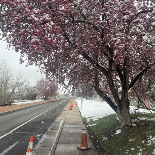 Stream Bubs music | Listen to songs, albums, playlists for free on ...