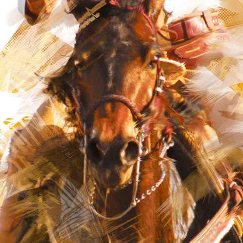 Stream ALDO_[RANGEL] music | Listen to songs, albums, playlists for ...