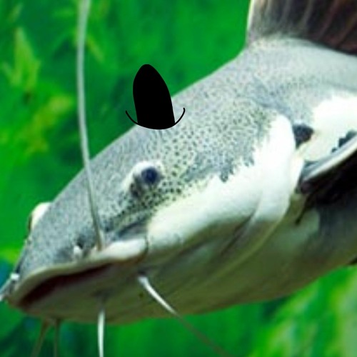 Stream Mr.Catfish music | Listen to songs, albums, playlists for free on SoundCloud