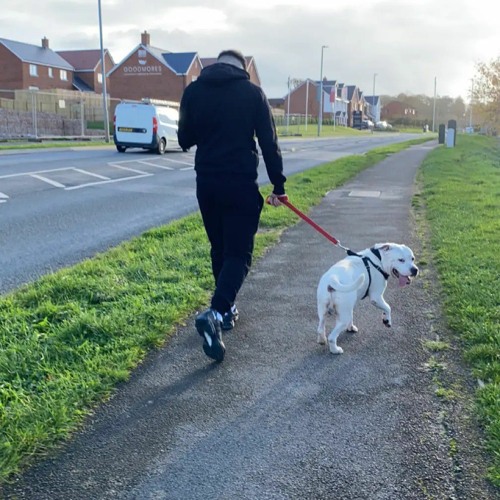 Stream Billy-ray Chadwick music | Listen to songs, albums, playlists ...