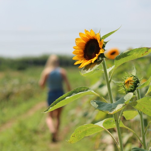 Stream Megan Julian music | Listen to songs, albums, playlists for free ...