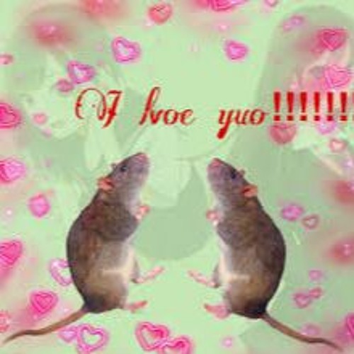 Stream Hannah Lewonka music | Listen to songs, albums, playlists for ...