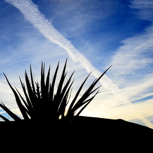 Stream James Mello music | Listen to songs, albums, playlists for free ...