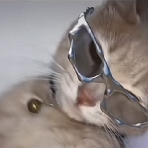 Stream youxgxsteppa music | Listen to songs, albums, playlists for free ...