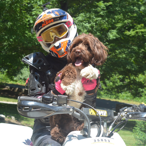 Stream Kae Bae 🐅 music | Listen to songs, albums, playlists for free on ...