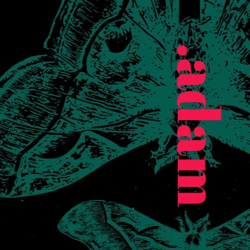 Stream Adam YA* music | Listen to songs, albums, playlists for free on ...