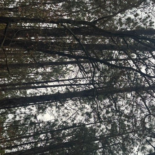 Stream purple presence music | Listen to songs, albums, playlists for ...