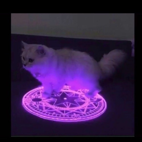 Stream Demonic Little grey cat Theme 1 hour (maybe) perfect loop by ... Stream Demonic Little grey cat Theme 1 hour (maybe) perfect loop by ...