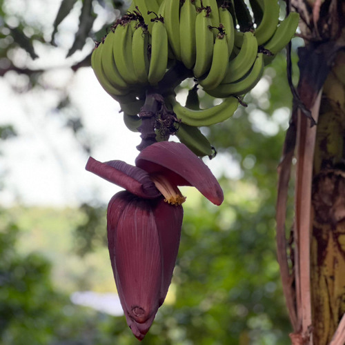 Stream FAVE music | Listen to songs, albums, playlists for free on ...