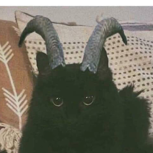 Stream Shantay Moore music | Listen to songs, albums, playlists for ...