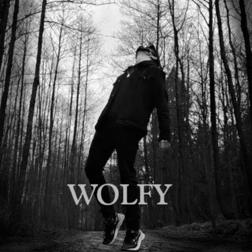 Stream WOLFY music | Listen to songs, albums, playlists for free on ...
