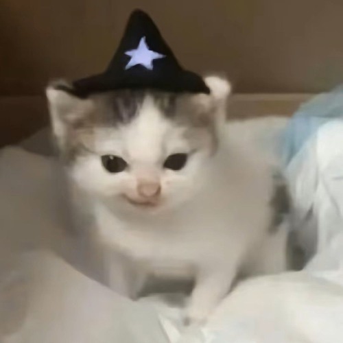 Stream kekeke music | Listen to songs, albums, playlists for free on ...