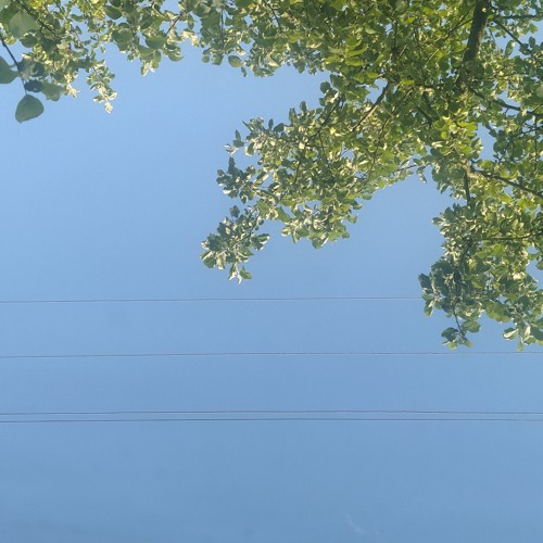 Stream frostir music | Listen to songs, albums, playlists for free on ...