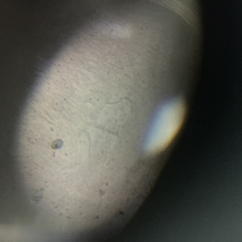 Stream Rich Shoka music | Listen to songs, albums, playlists for free ...