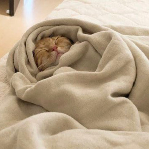 Stream Heidi Lim music | Listen to songs, albums, playlists for free on ...