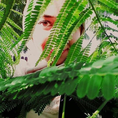 Stream Wisam music | Listen to songs, albums, playlists for free on ...