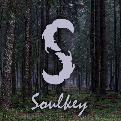Stream soulkey music | Listen to songs, albums, playlists for free on ...