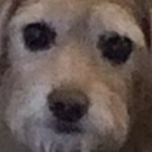 Stream Adam Dallan music | Listen to songs, albums, playlists for free ...