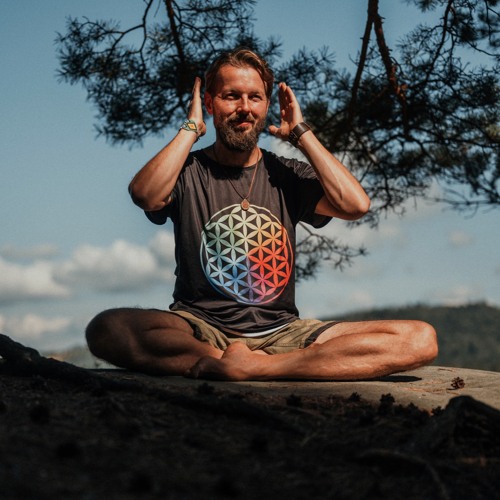 Stream Petr Toman music | Listen to songs, albums, playlists for free ...