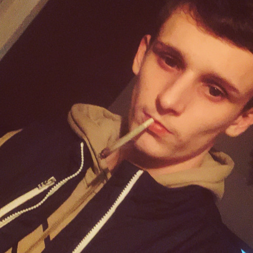 Stream shane speed music | Listen to songs, albums, playlists for free ...