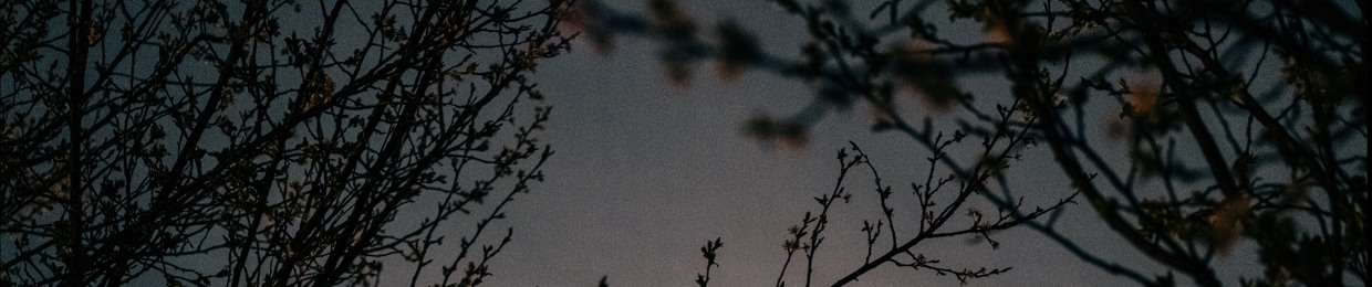 Grunge Headers For Tumblr