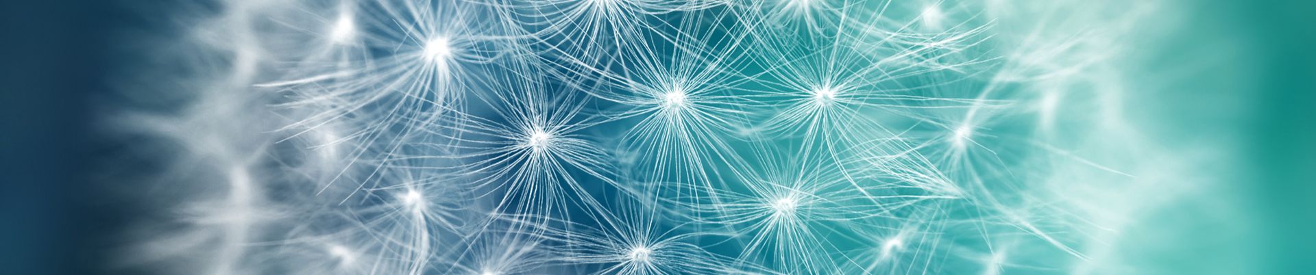 Hugh Nash Instagram, Twitter & Facebook on IDCrawl